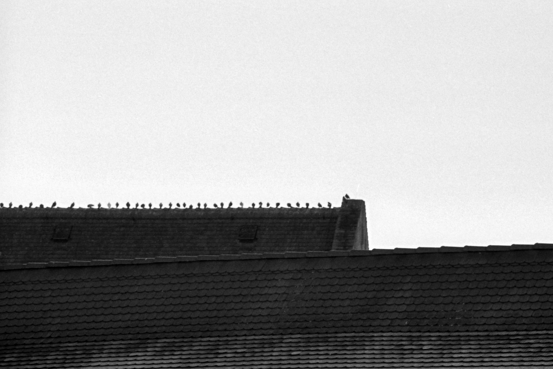 Unterwegs mit APX 100. - Heimstoff | Fotografie | Görlitz